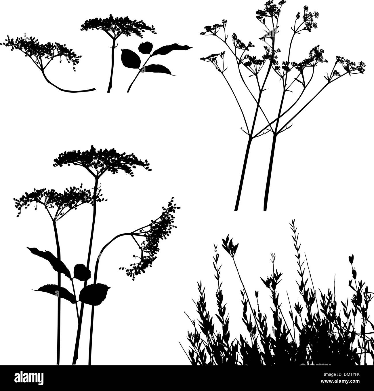 collection, for designers, plant vector Stock Vector Image & Art - Alamy