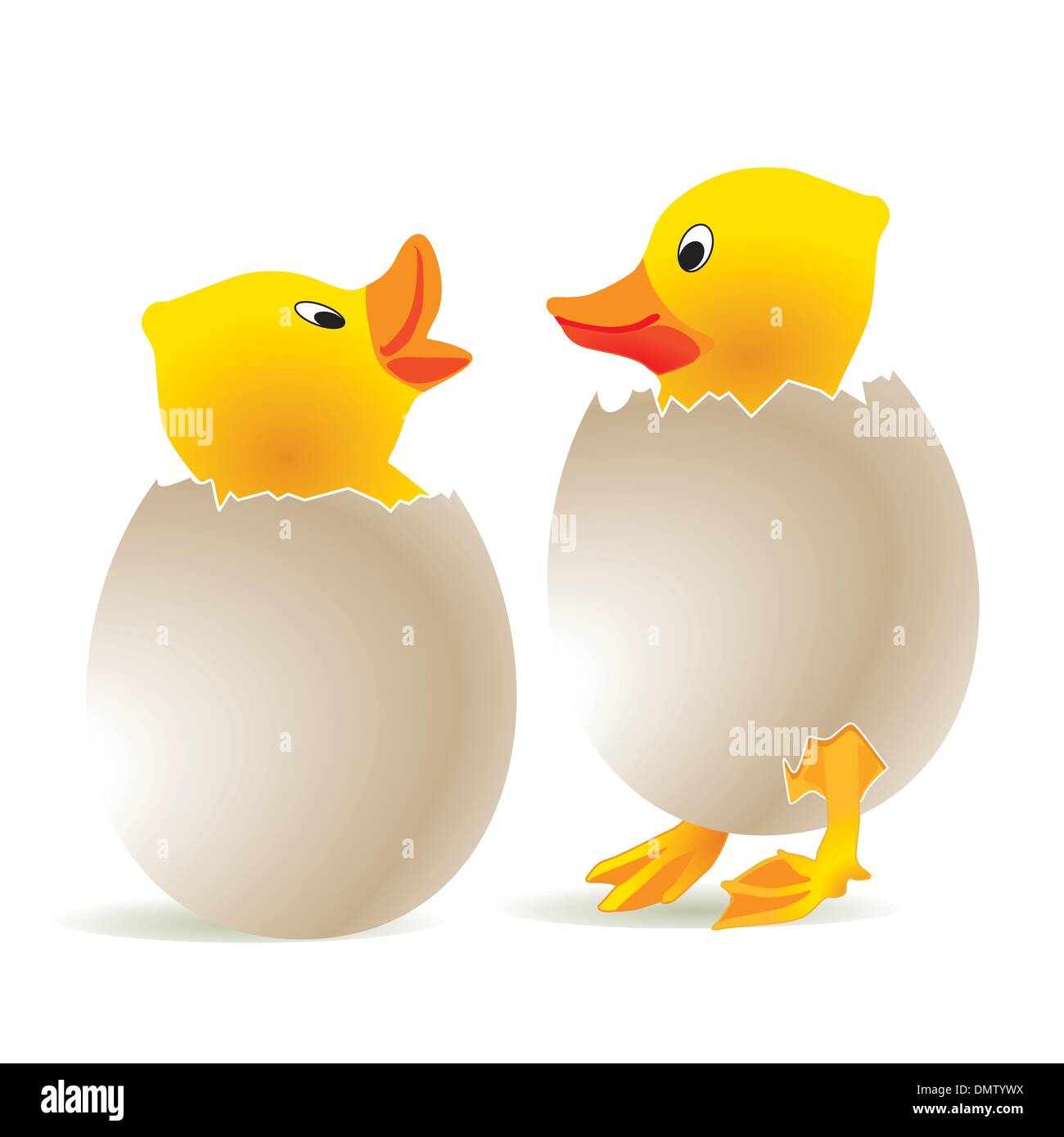 Chicks poultry chicken bird yellow Stock Vector Images - Alamy