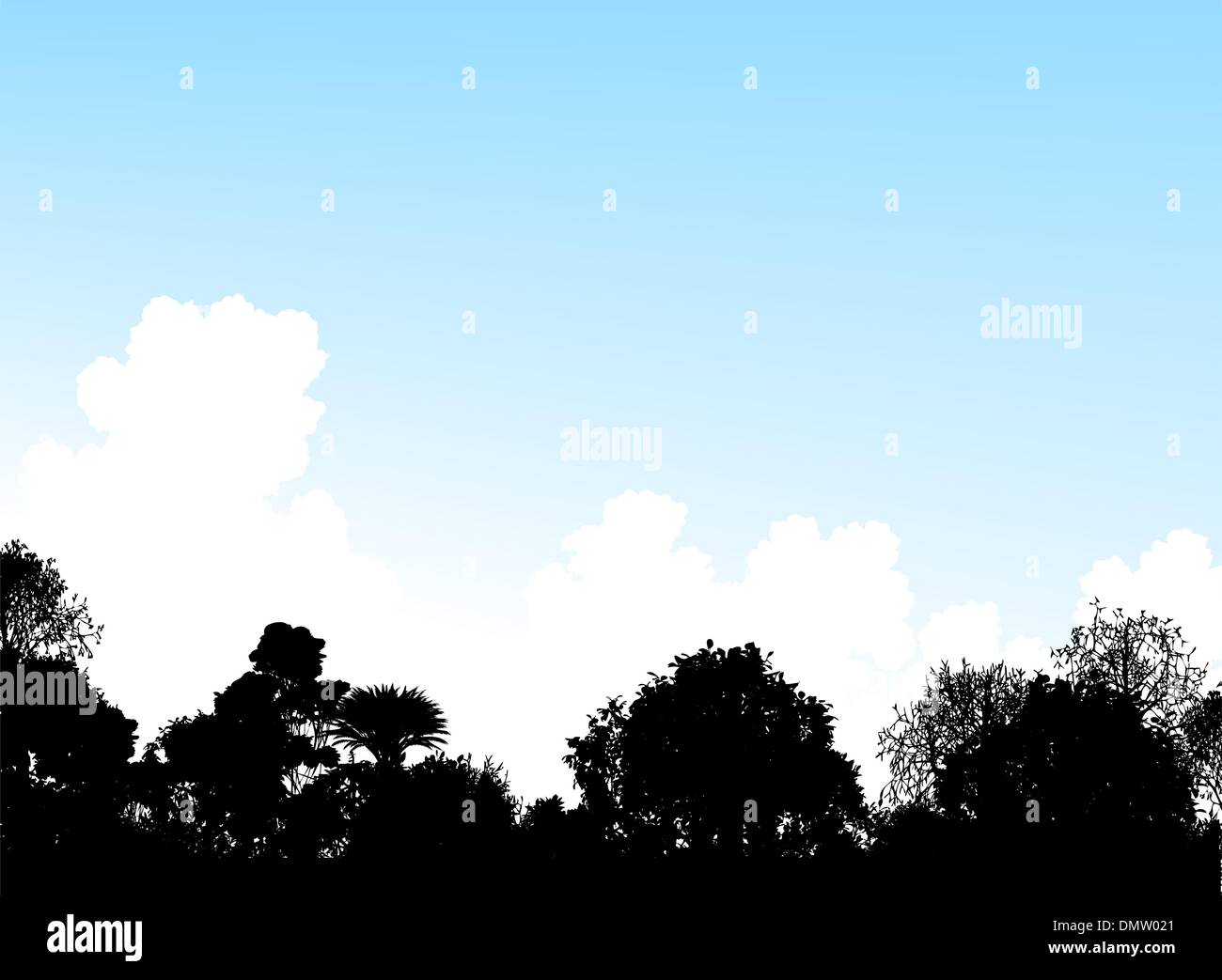 Forest sky treetops Stock Vector Images - Alamy