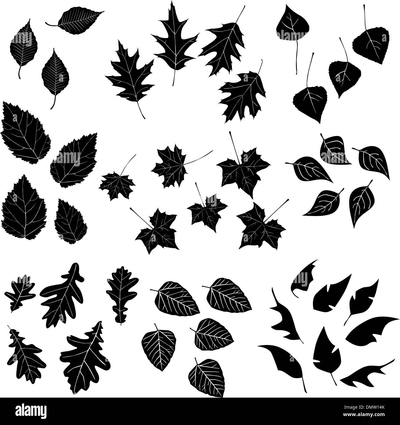 Leaf, collection for designers Stock Vector Image & Art - Alamy