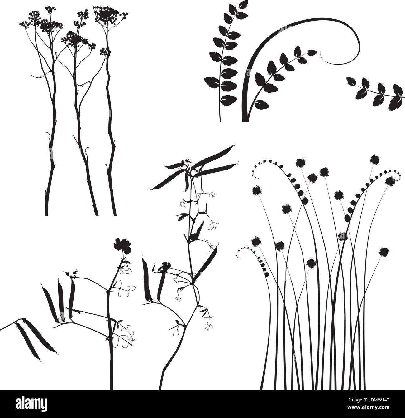 collection, for designers, plant vector Stock Vector Image & Art - Alamy