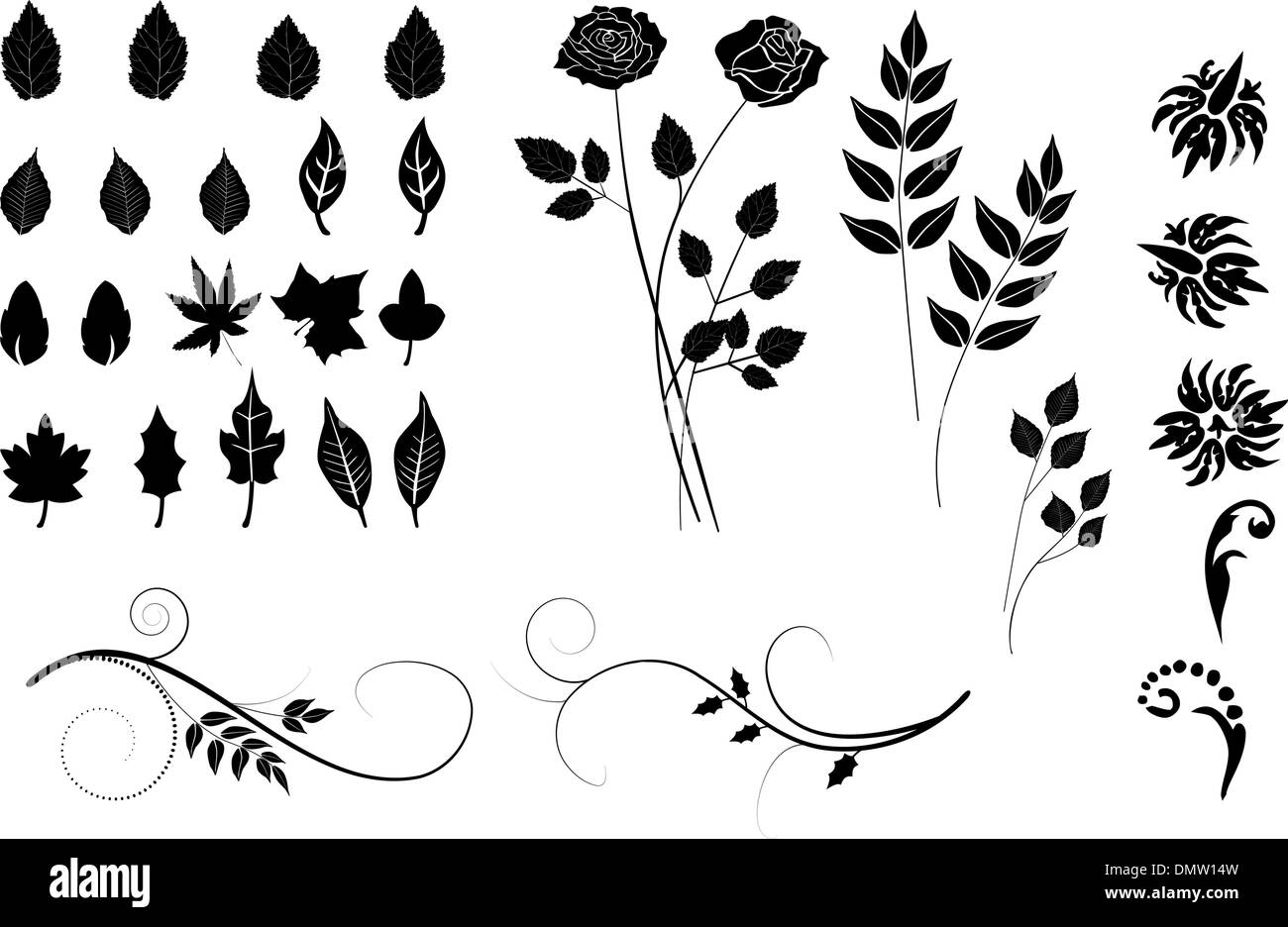 collection, for designers, plant vector Stock Vector Image & Art - Alamy