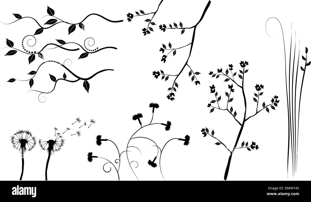 collection, for designers, plant vector Stock Vector Image & Art - Alamy