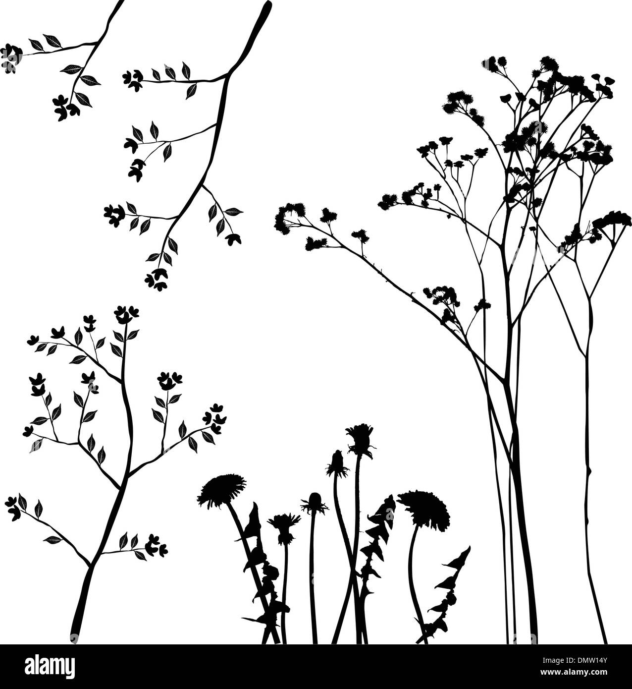 collection, for designers, plant vector Stock Vector Image & Art - Alamy