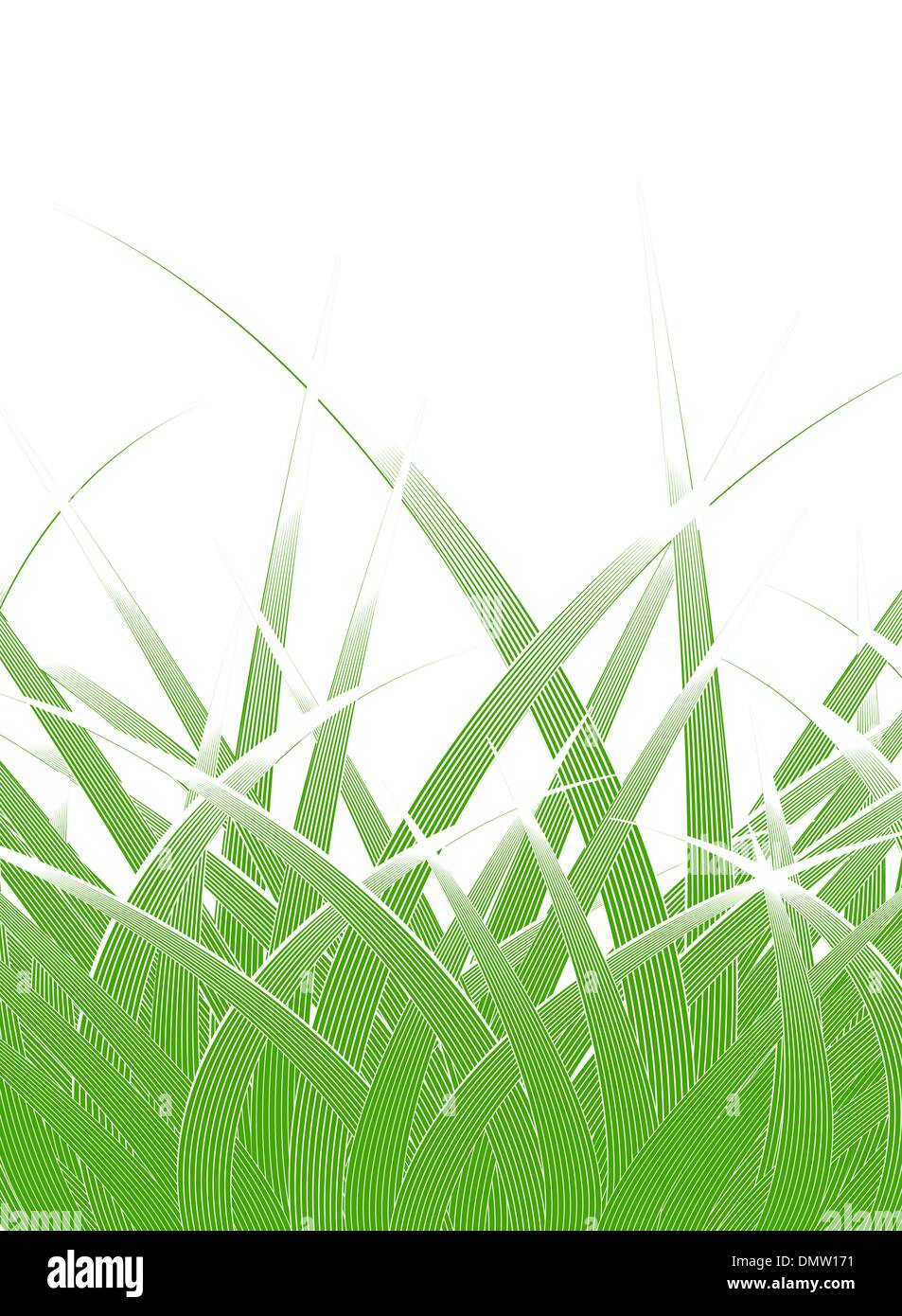 Grassy blade Stock Vector Images - Alamy