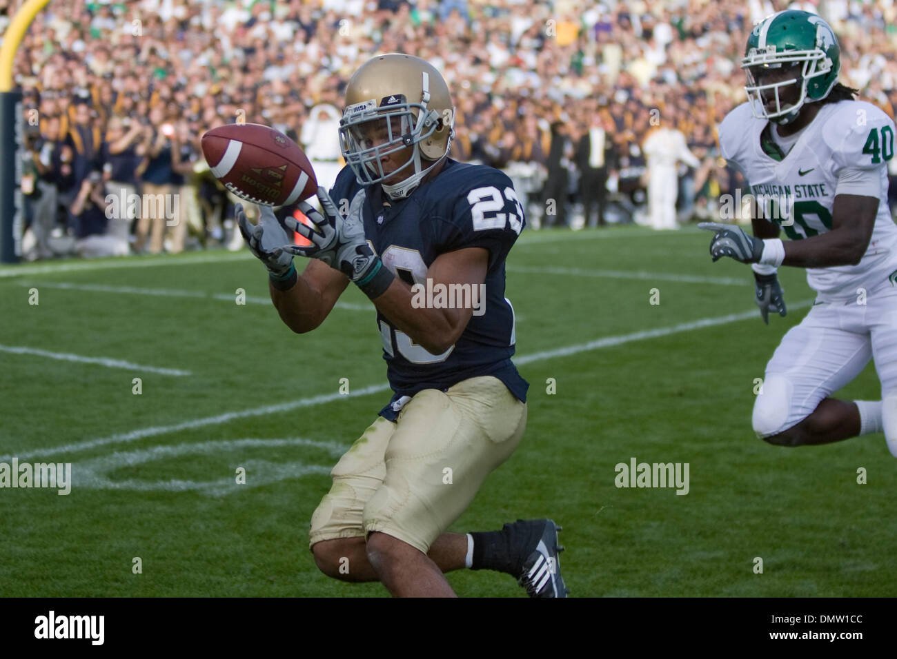 Golden tate notre dame hi-res stock photography and images - Alamy