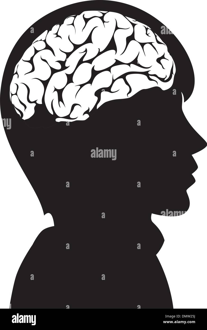 Head model human head Stock Vector Images - Alamy