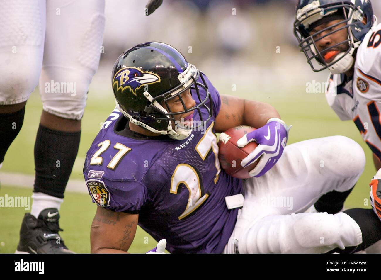 Raven ray hi-res stock photography and images - Alamy