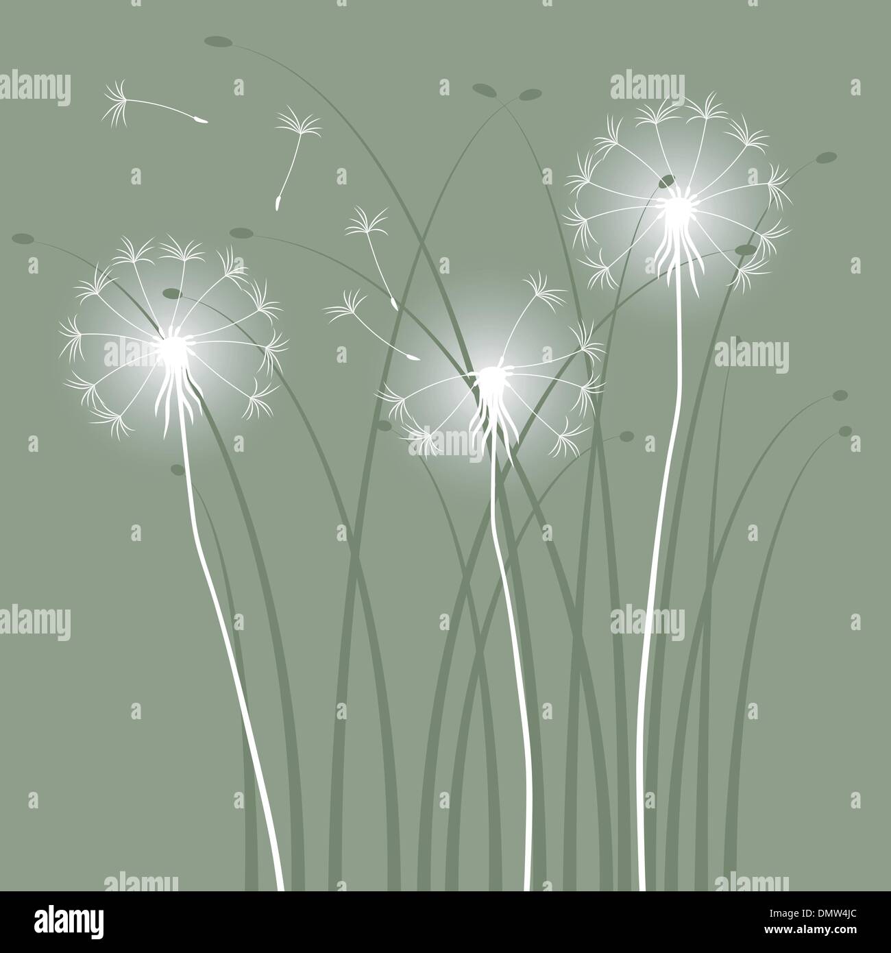 abstract background with dandelions Stock Vector Image & Art - Alamy
