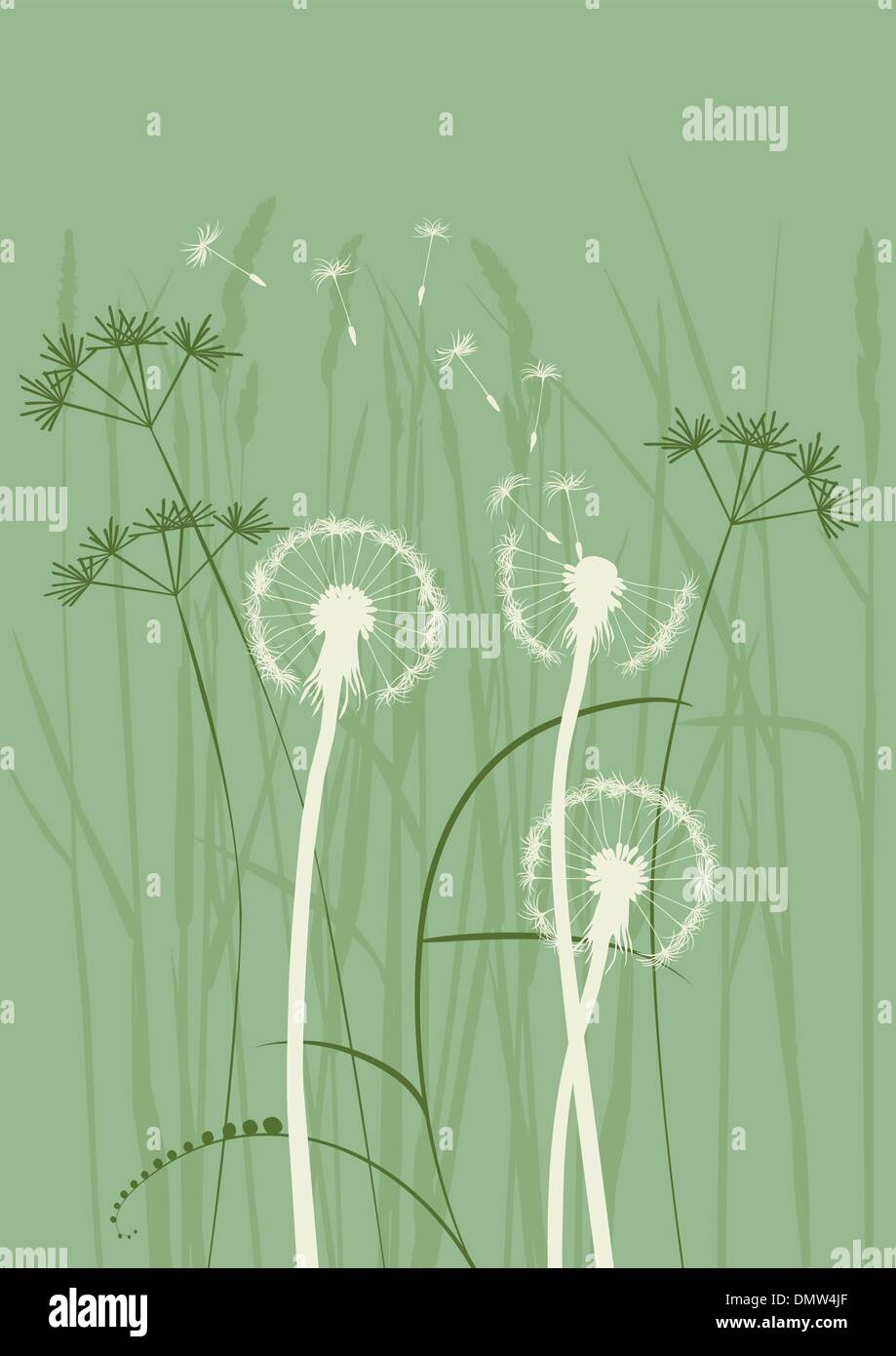 floral background, dandelion Stock Vector Image & Art - Alamy