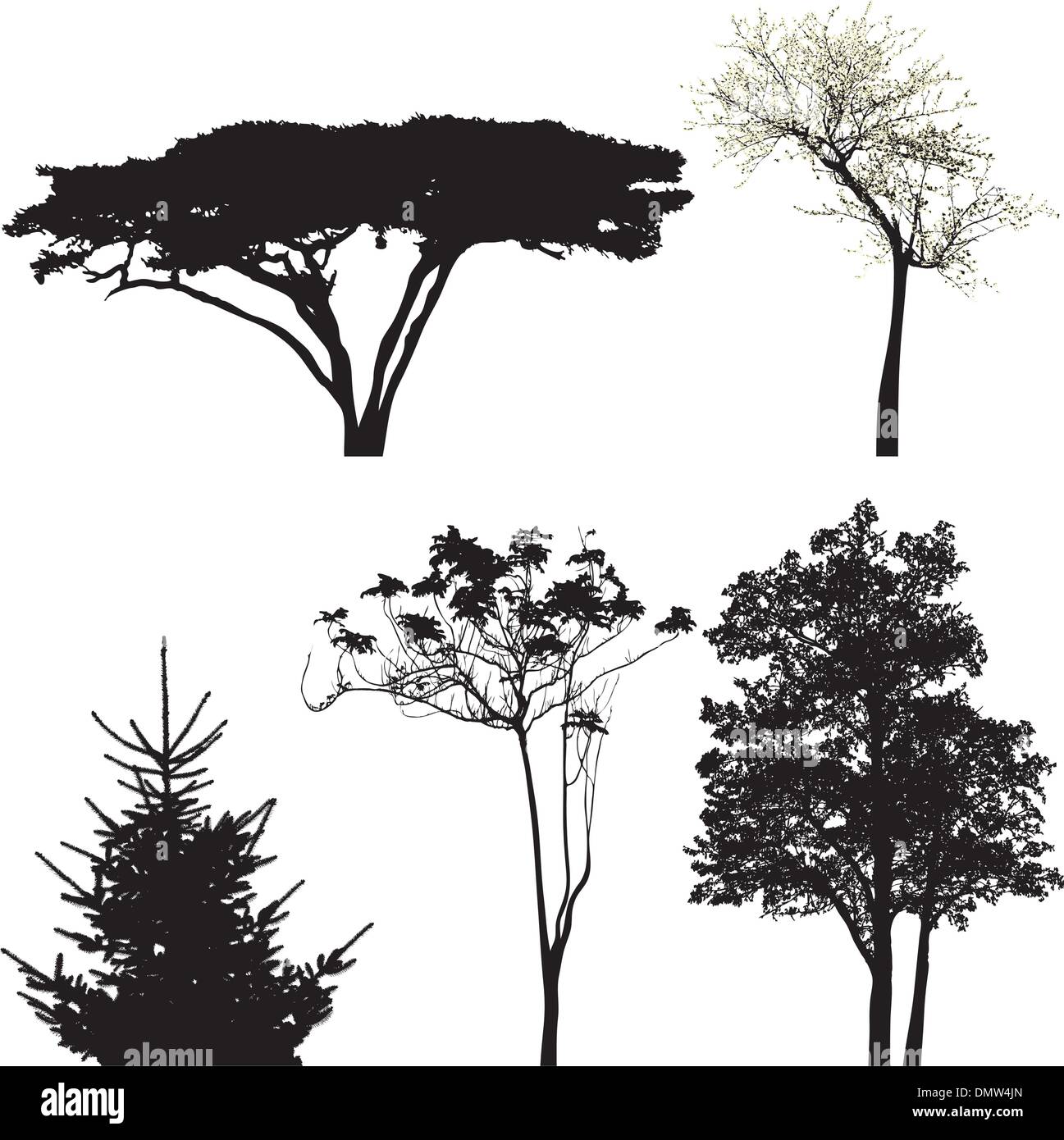 few trees - vector collection Stock Vector Image & Art - Alamy
