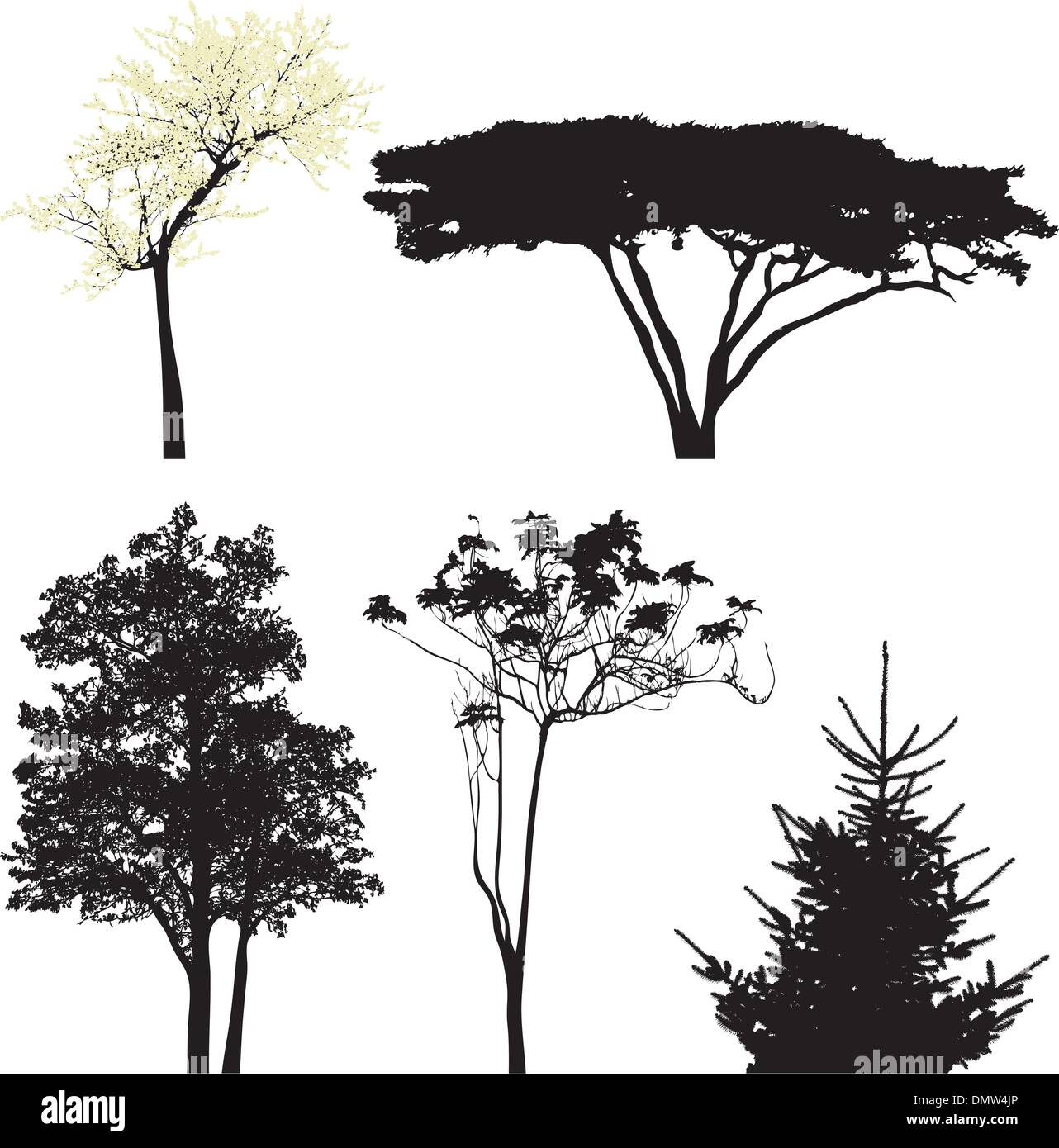 few trees - vector collection Stock Vector Image & Art - Alamy