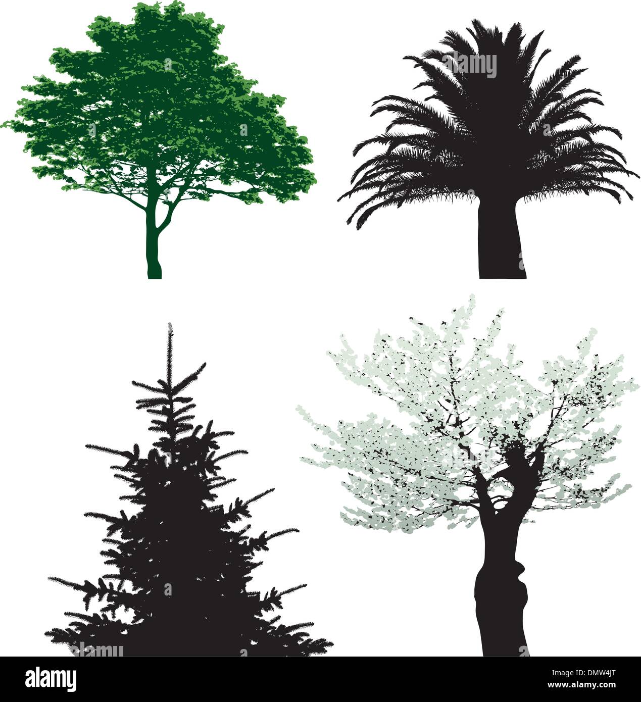 trees - vector collection Stock Vector Image & Art - Alamy