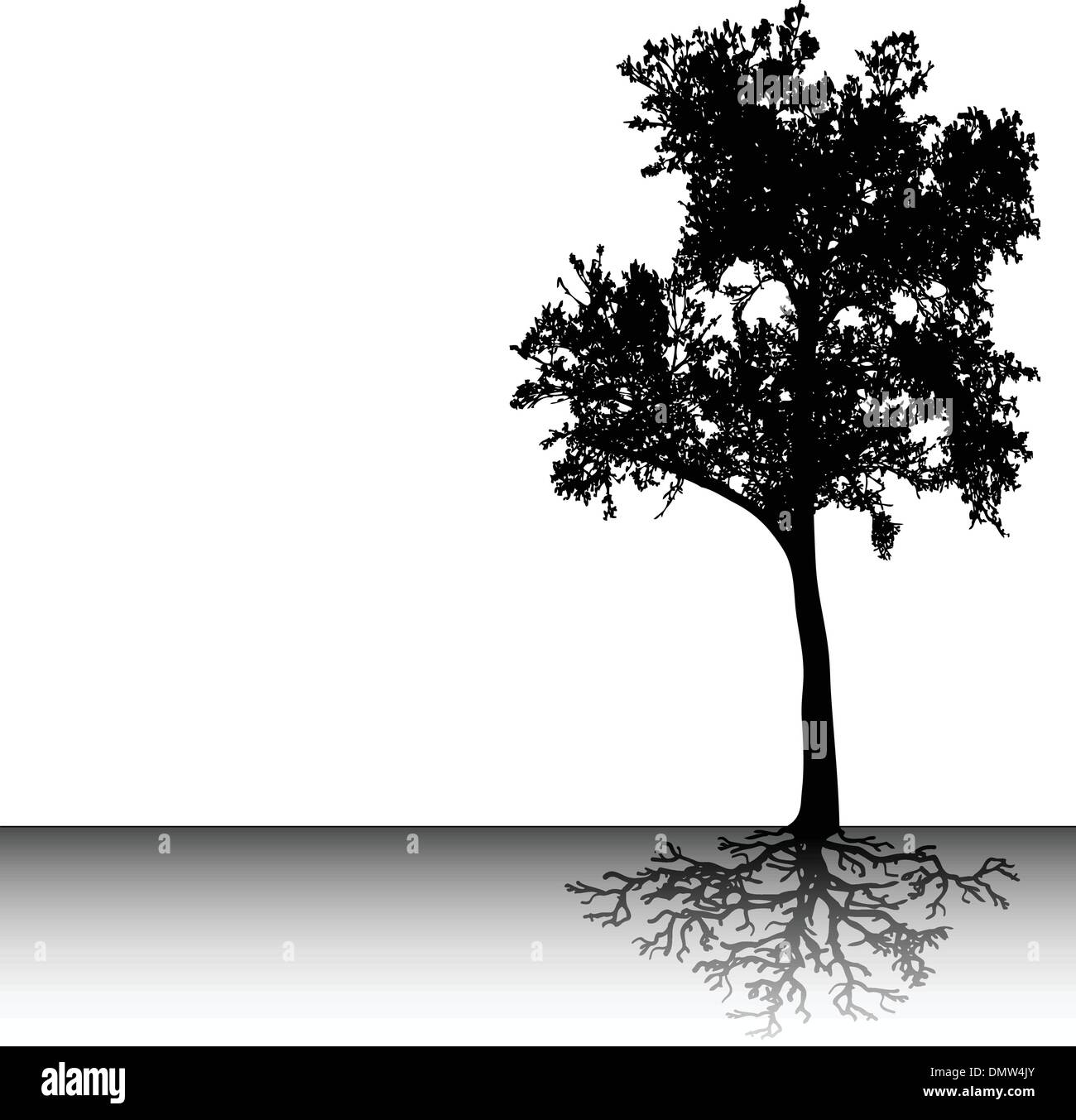 Tree space Cut Out Stock Images & Pictures - Alamy