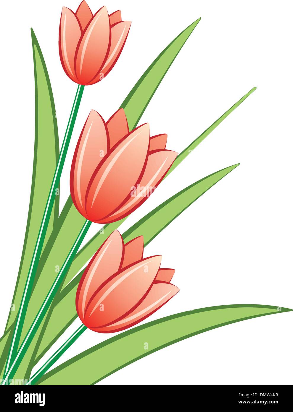 Spring garden red tulips Stock Vector Images - Alamy