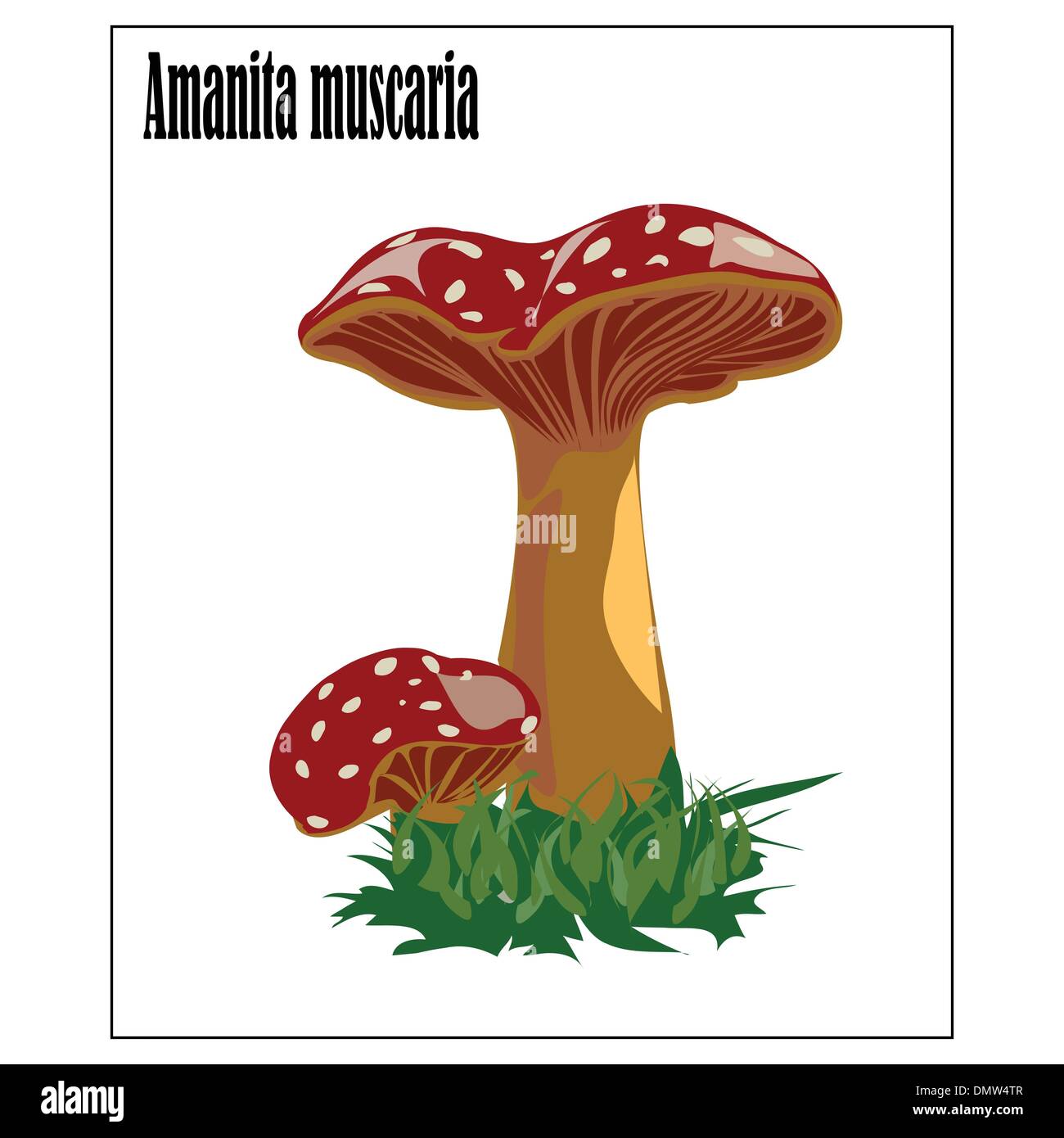 Amanita design hi-res stock photography and images - Alamy
