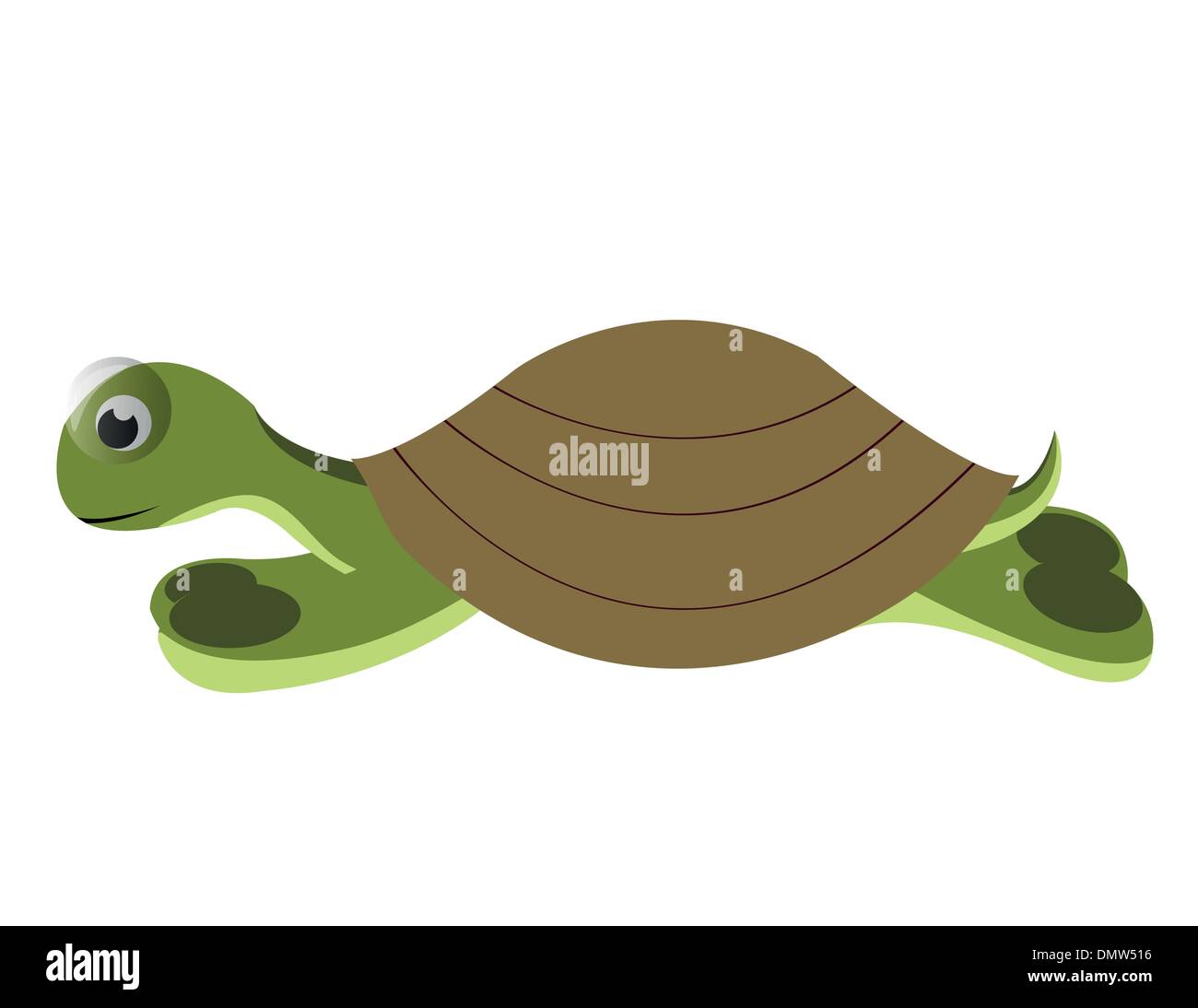 Aquarium sea turtle Cut Out Stock Images & Pictures - Alamy