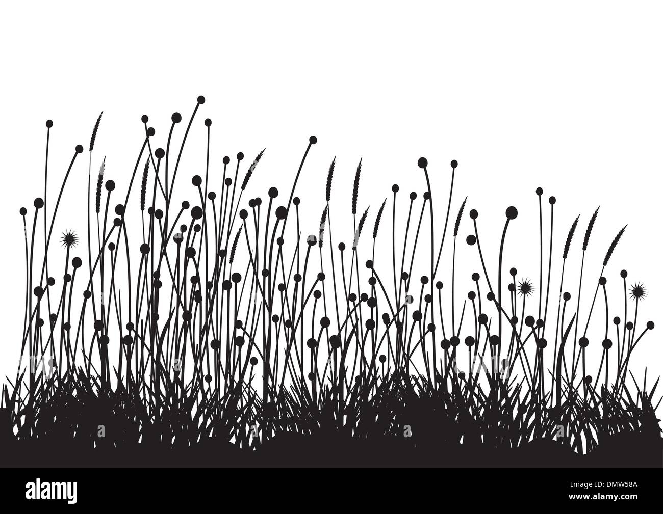 Grasses Stock Vector Images - Alamy