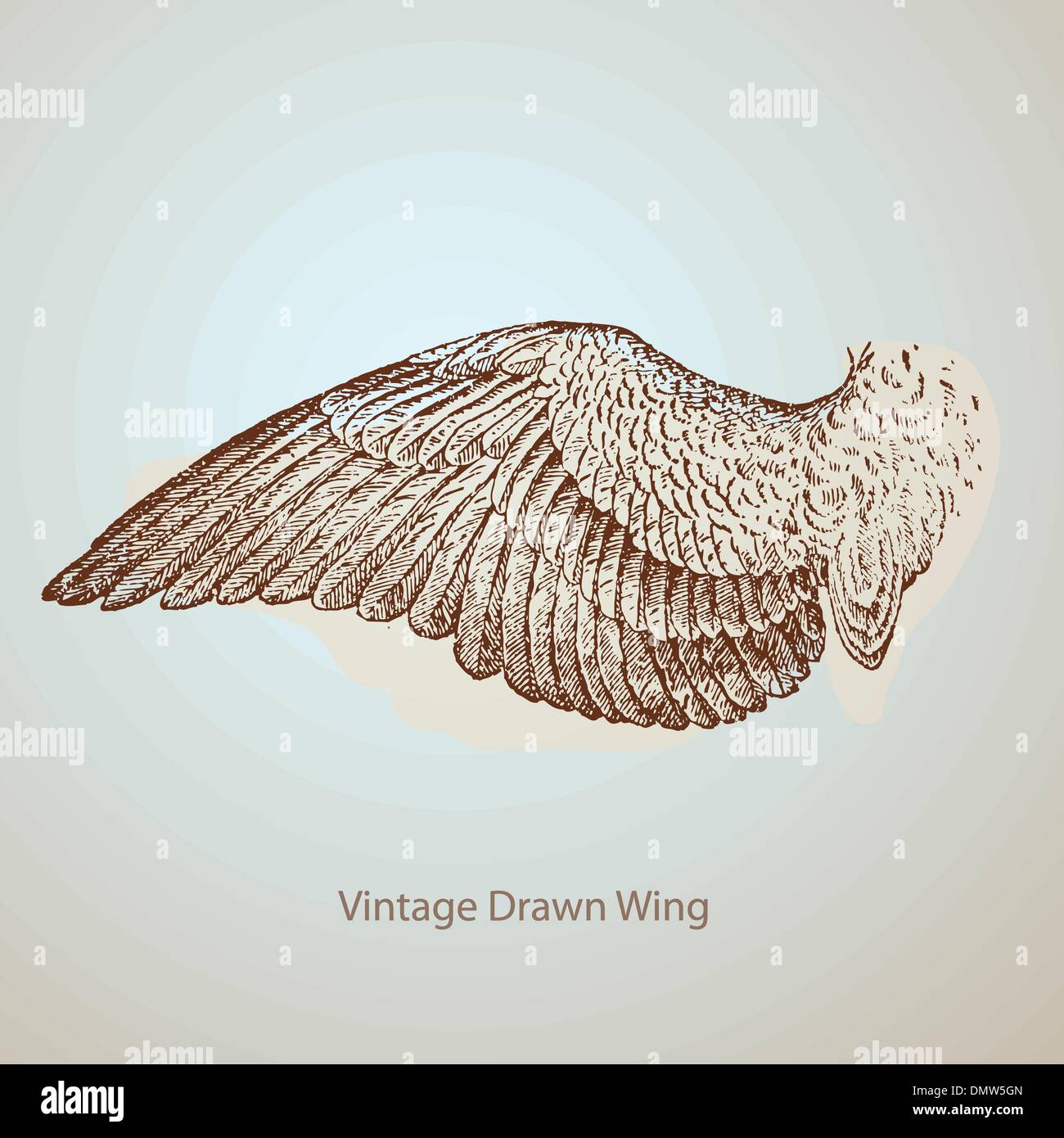 Vintage wing Stock Vector Images - Alamy