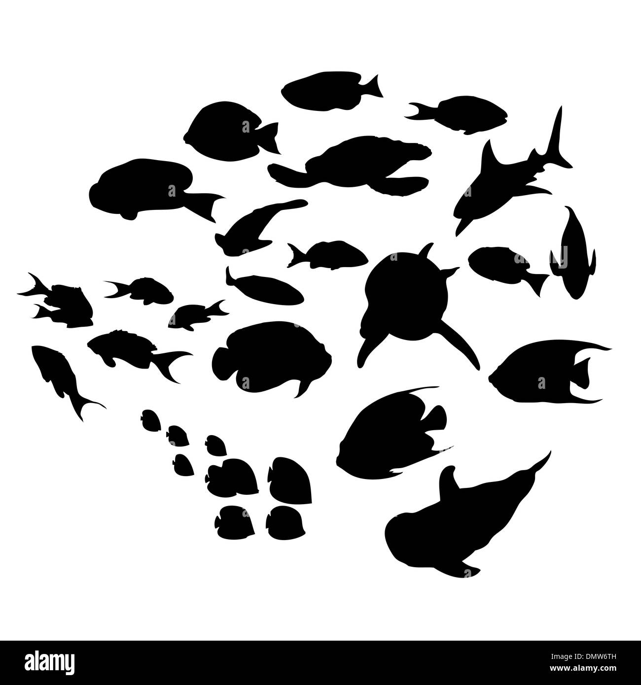 fish silhouettes collection Stock Vector Image & Art - Alamy
