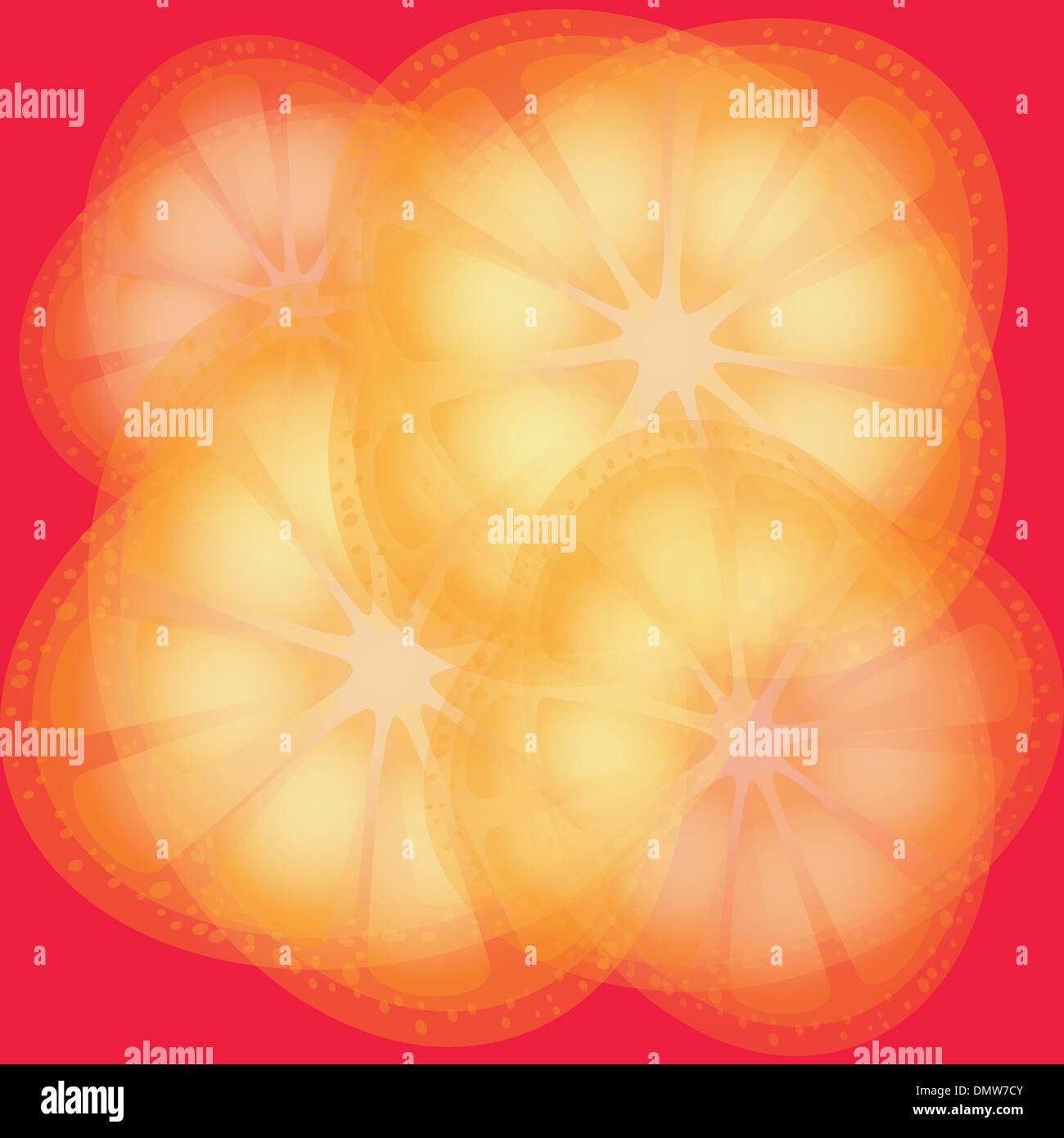 orange slices radiography background Stock Vector Image & Art - Alamy