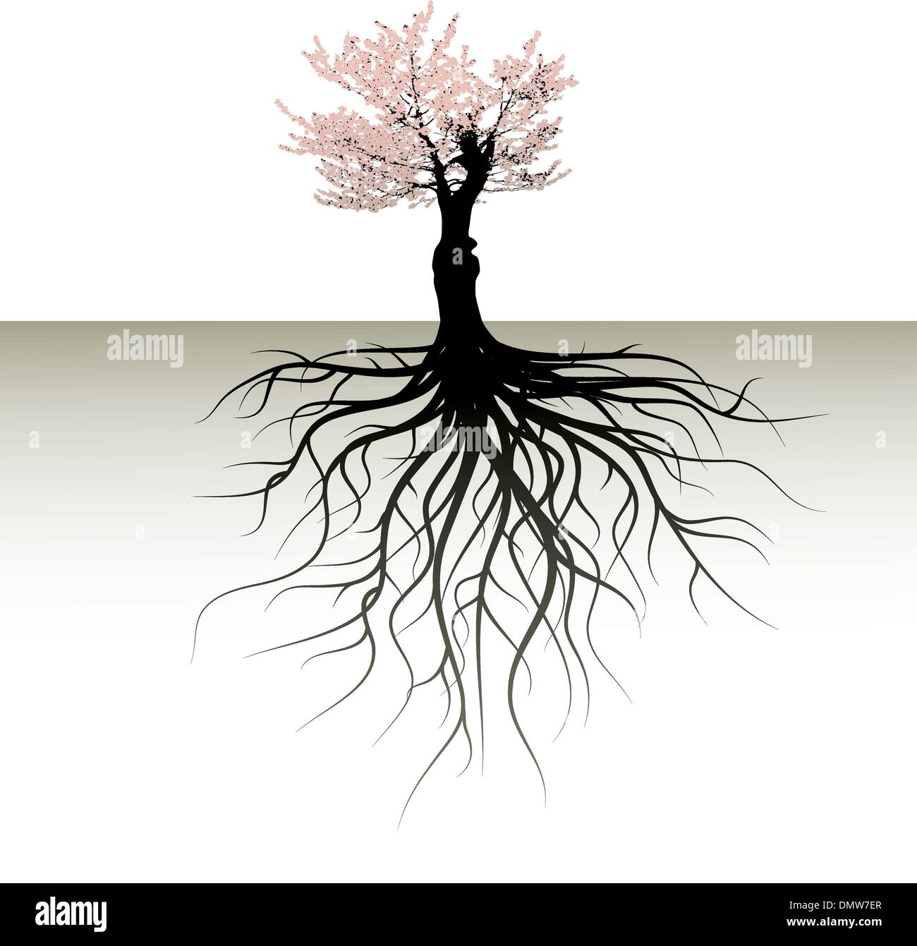 Apple tree root hi-res stock photography and images - Alamy