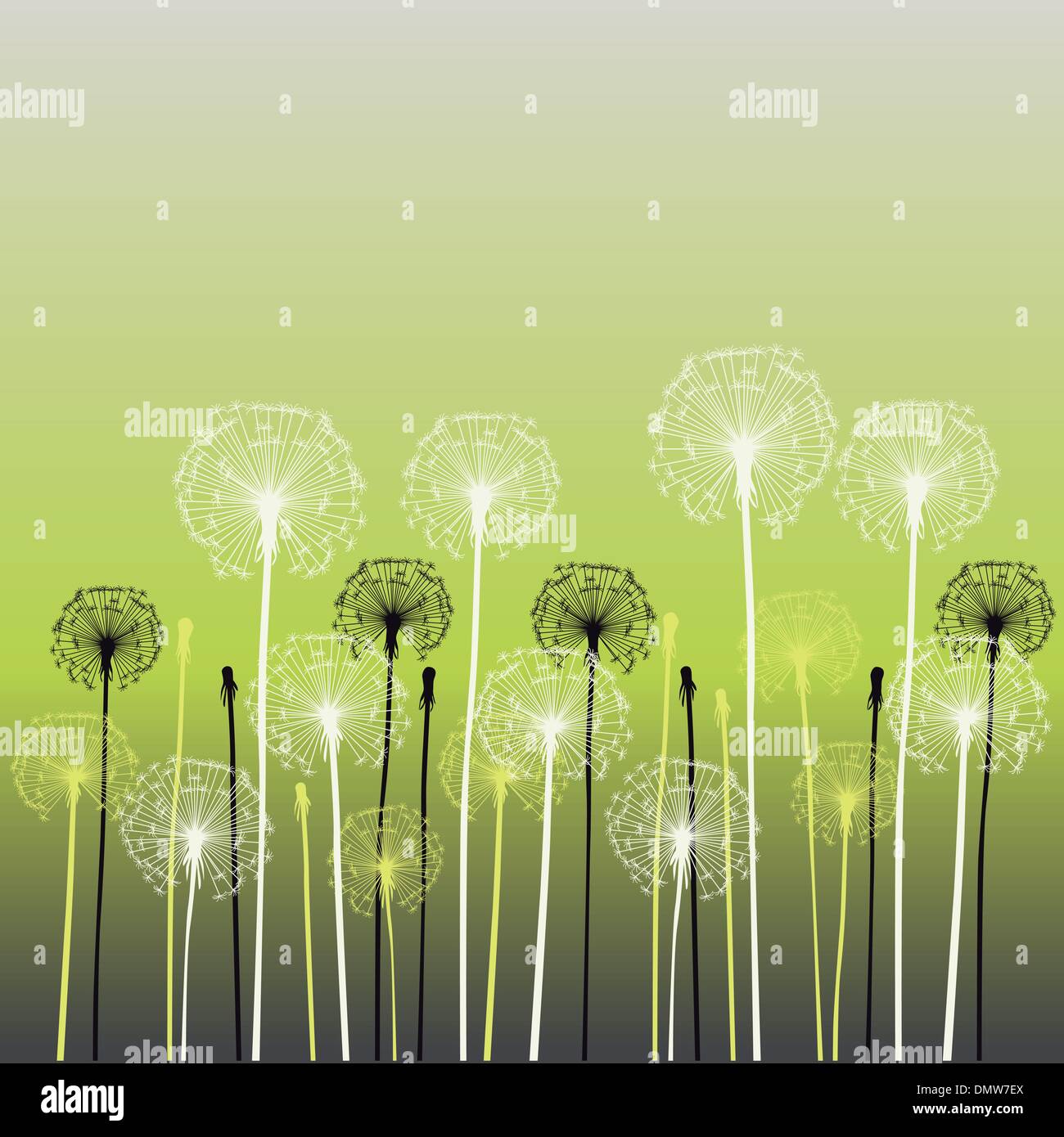 floral background, dandelion Stock Vector Image & Art - Alamy