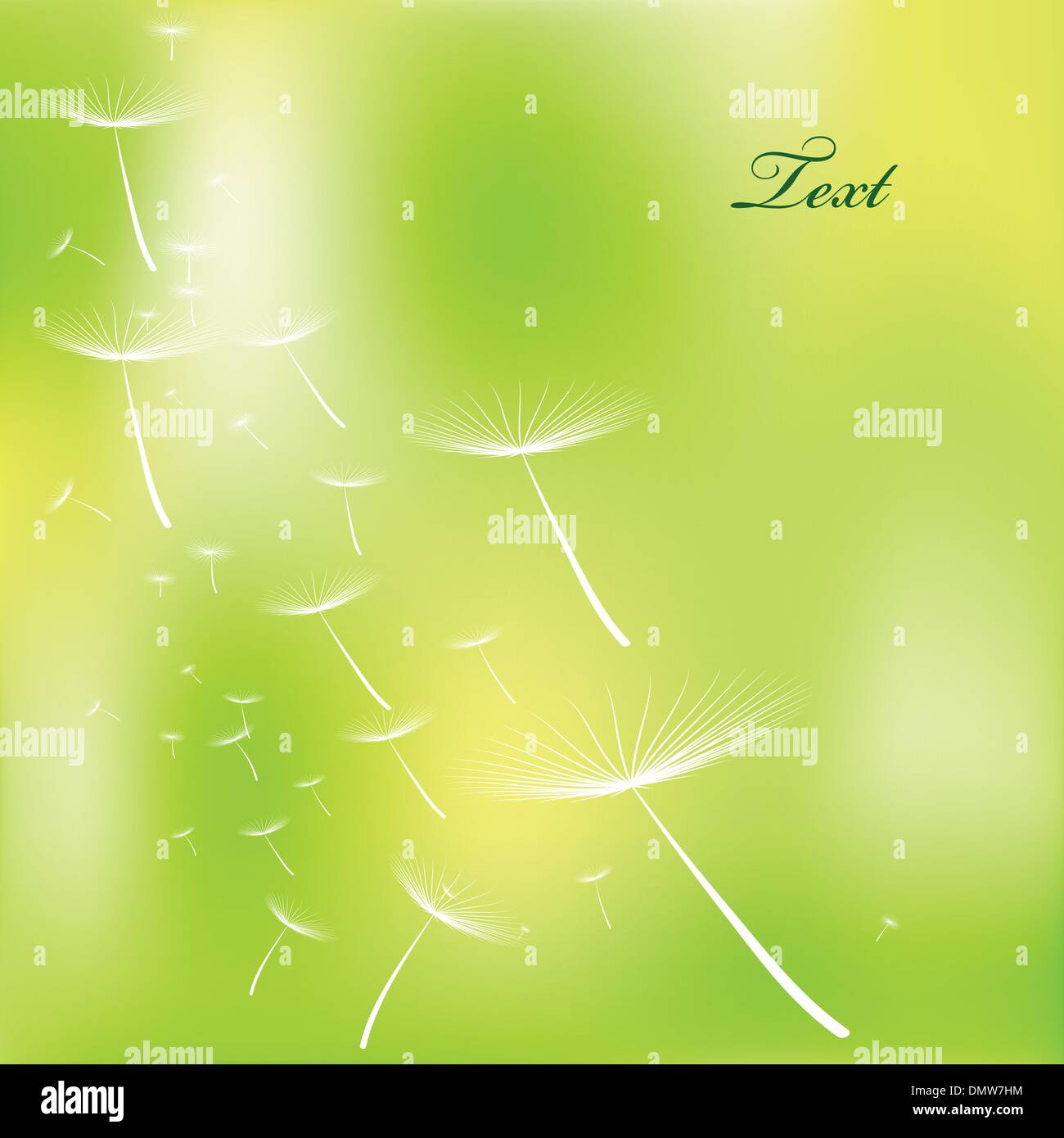 dandelion seeds on green background Stock Vector Image & Art - Alamy