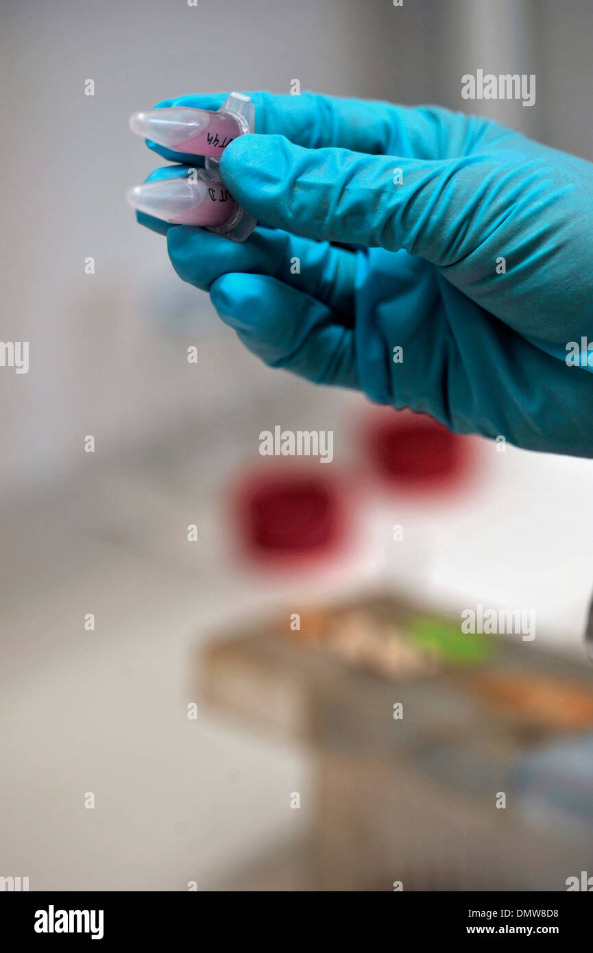 Phyto science hi-res stock photography and images - Alamy