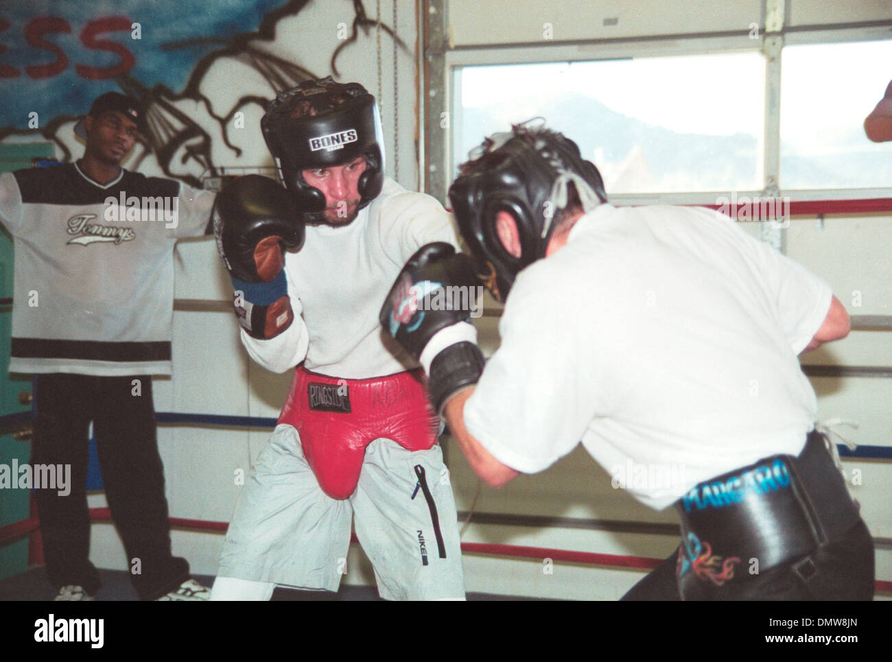 Bear boxing hi-res stock photography and images - Alamy