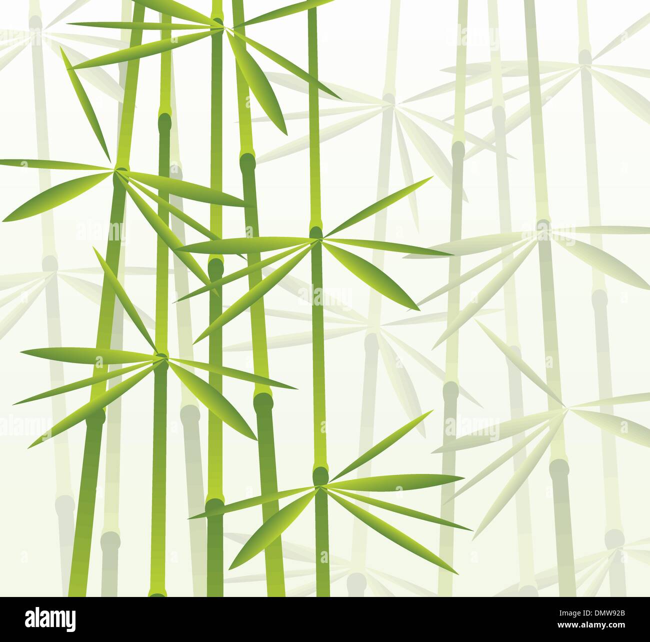 Bamboo, vector illustration Stock Vector Image & Art - Alamy