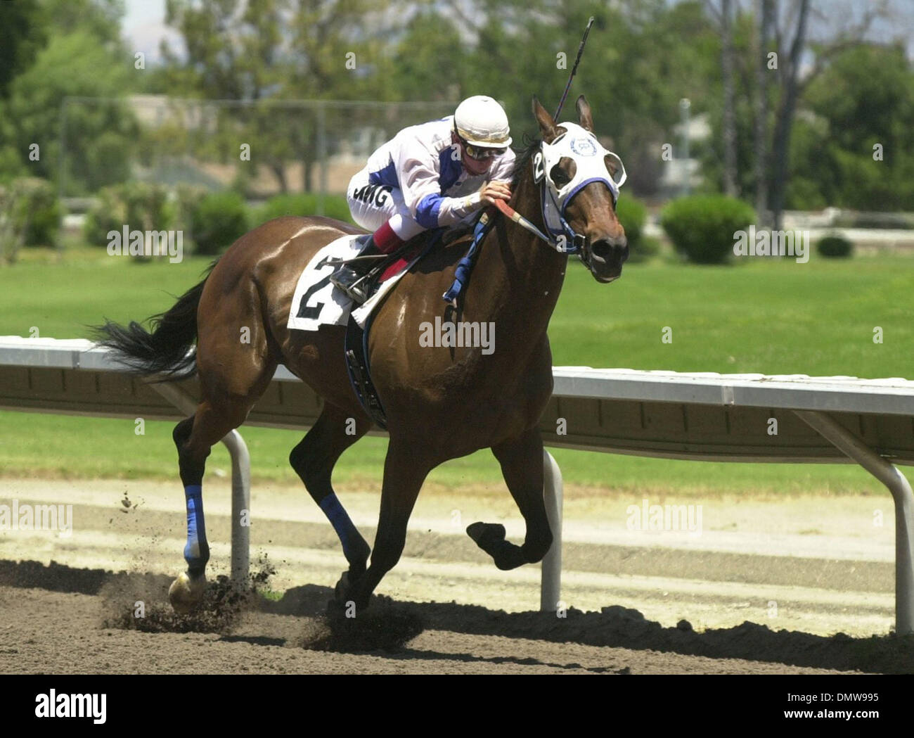 Alameda county fair horse race hi-res stock photography and images - Alamy