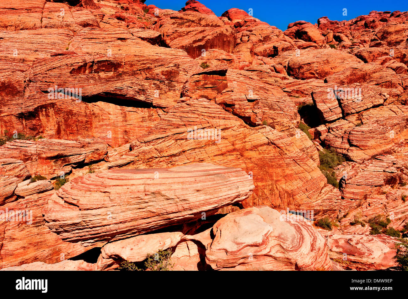 Calico basin hi-res stock photography and images - Alamy