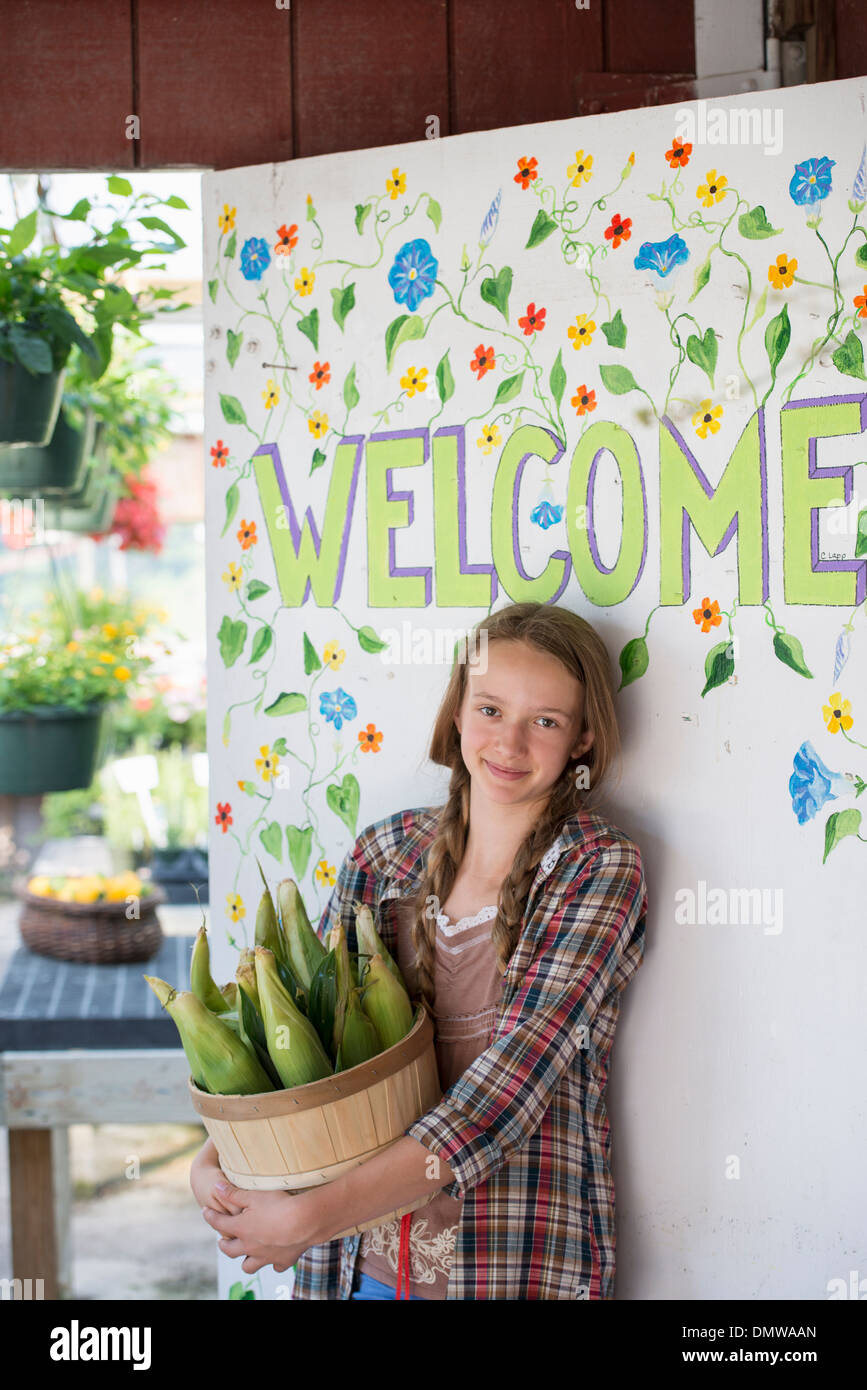 Summer on an organic farm. A girl holding a basket of fresh corn by ...