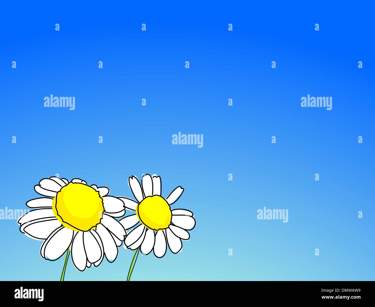 Daisies isolated Stock Vector Images - Alamy
