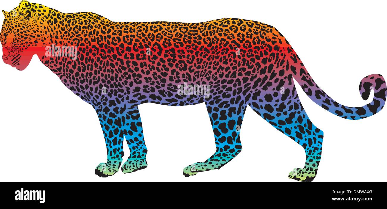 Leopard - vector abstract rainbow Stock Vector Image & Art - Alamy