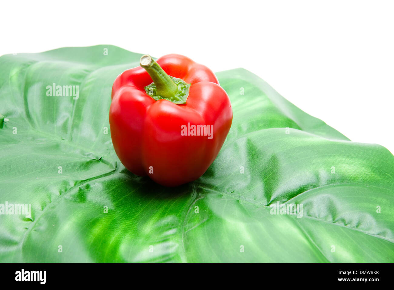 Paprika with plant sheet Stock Photo - Alamy