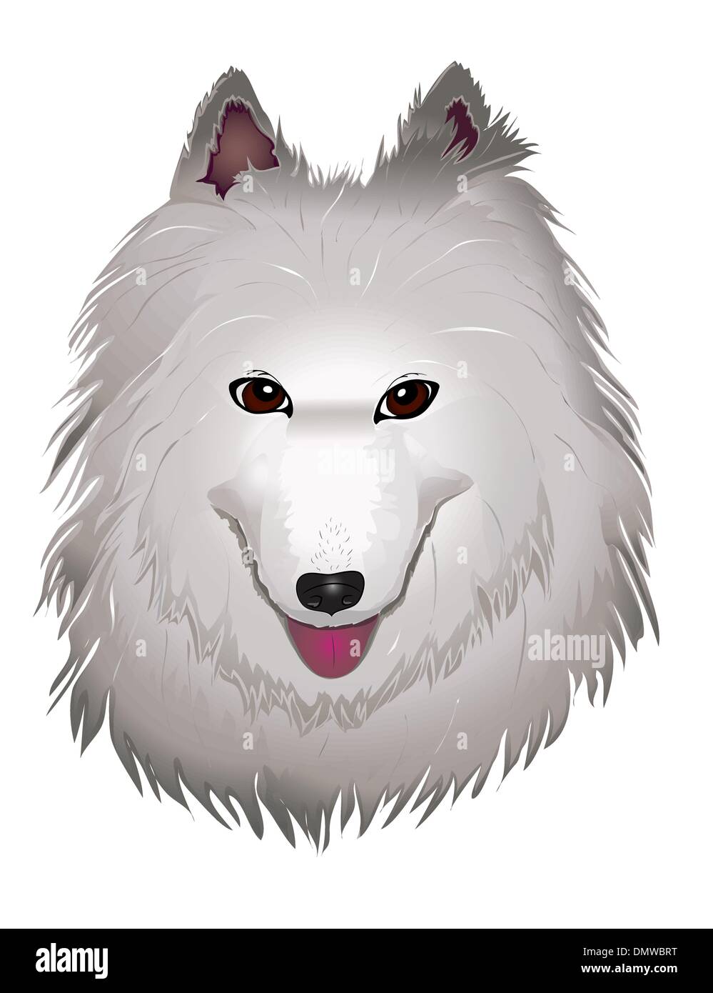 Samoyed dog Stock Vector Images - Alamy