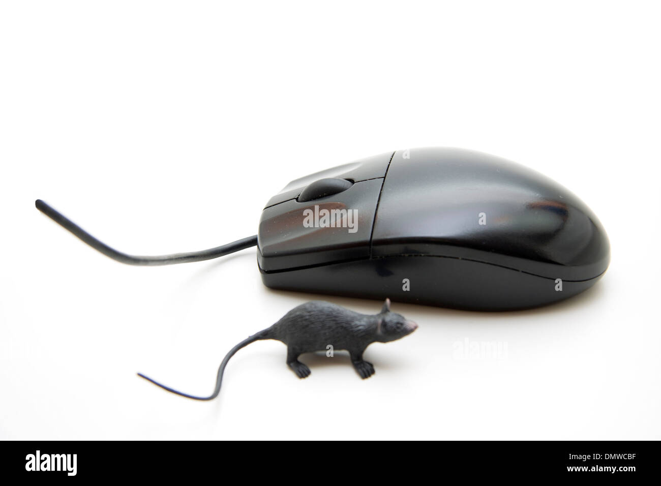 Black computer mouse Stock Photo - Alamy