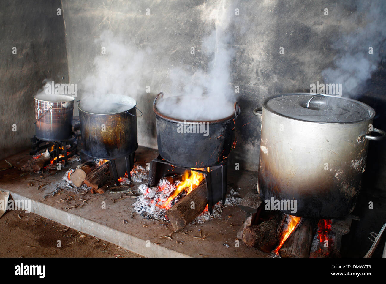 Different process during a traditional local pig slaughter in the ...