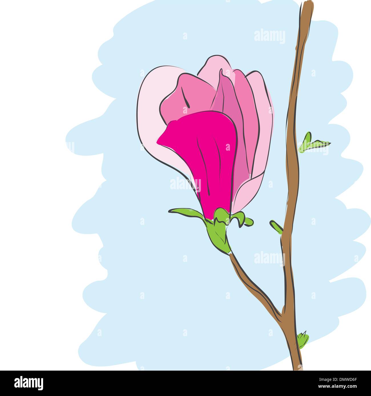 Blooming pink magnolia in Stock Vector Images - Alamy