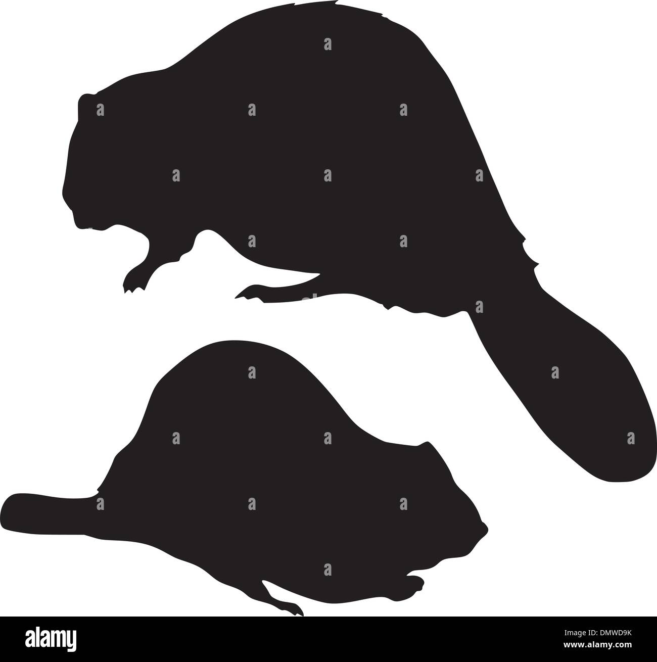 Beaver vector vectors hi-res stock photography and images - Alamy