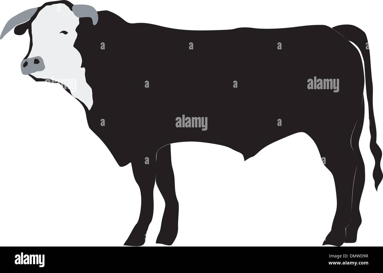 Bull image Stock Vector Images - Alamy