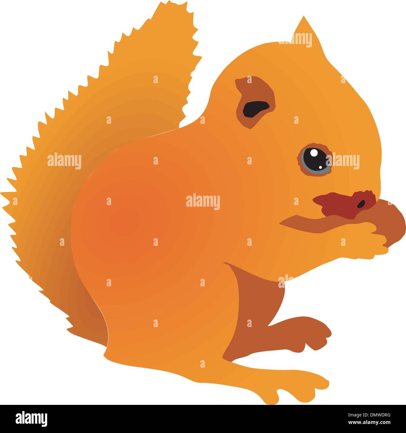illustration of squirrel Stock Vector Image & Art - Alamy