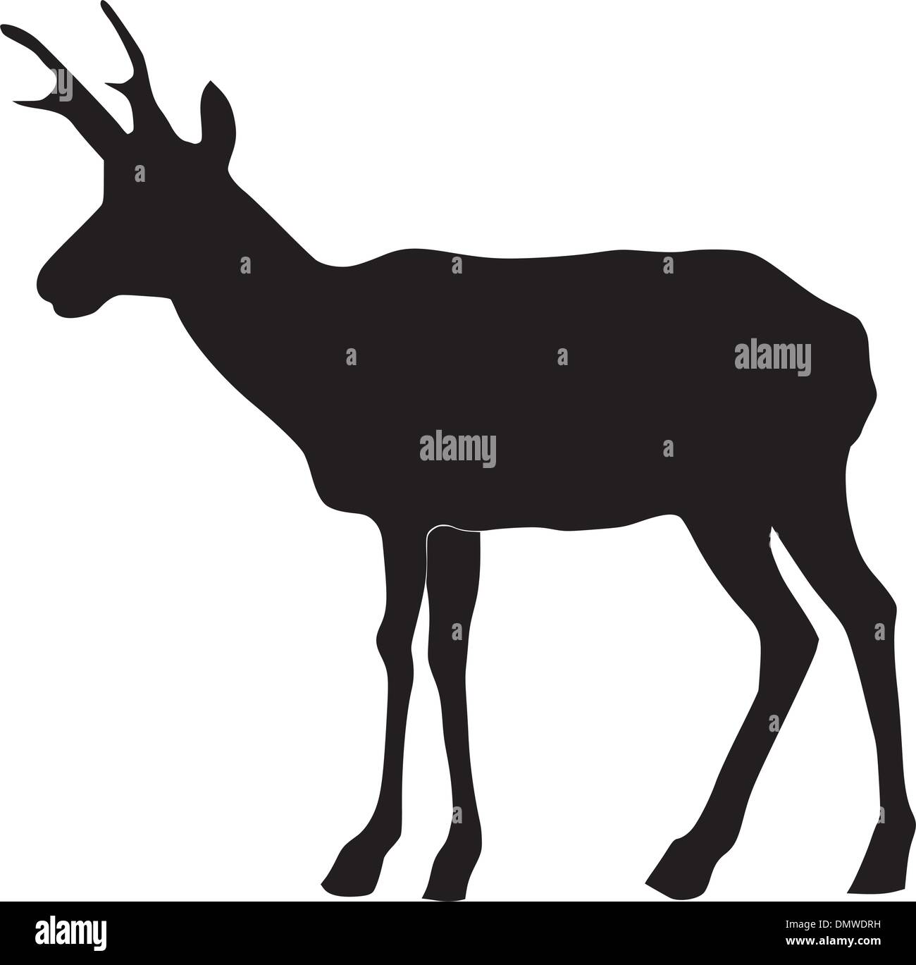 illustration of antilope Stock Vector Image & Art - Alamy