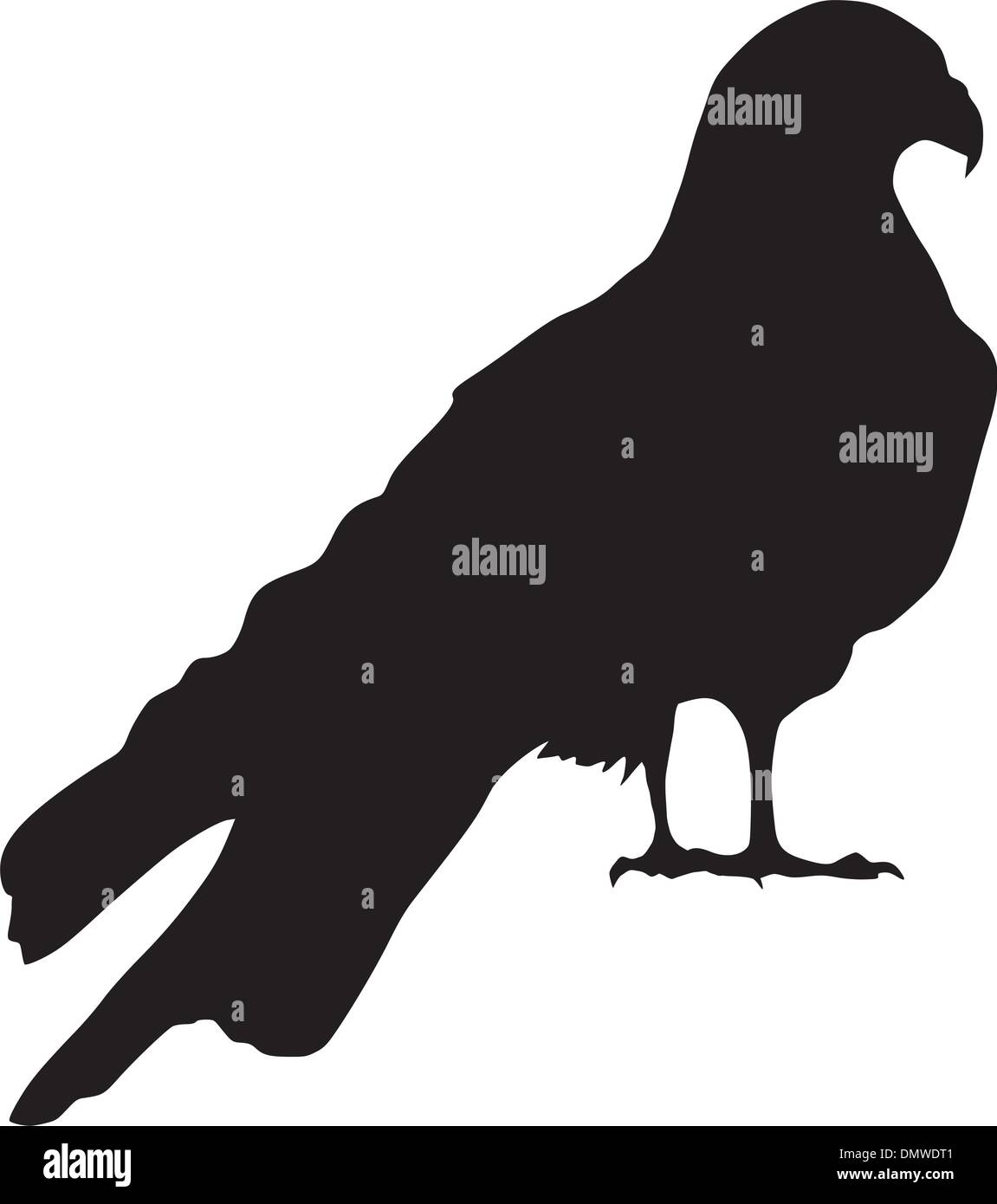 Image of kite bird Stock Vector Images - Alamy