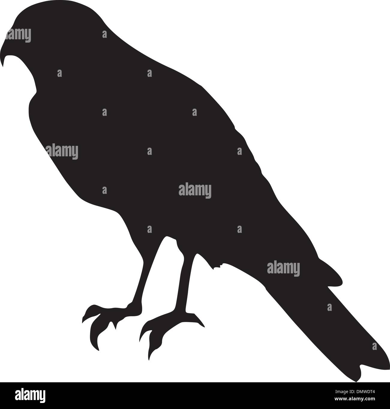 Falcon Stock Vector Images - Alamy