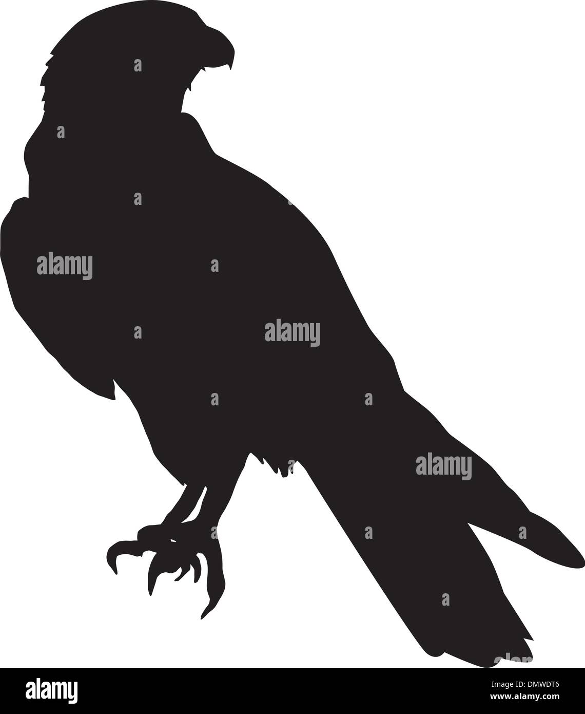 Falcon Vectors High Resolution Stock Photography and Images - Alamy