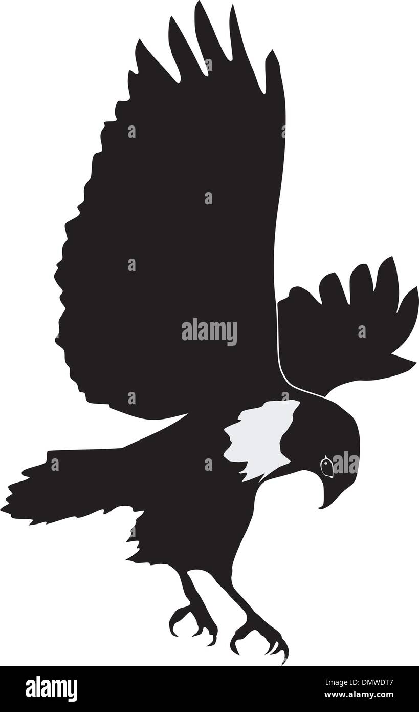 Buzzard image Stock Vector Images - Alamy