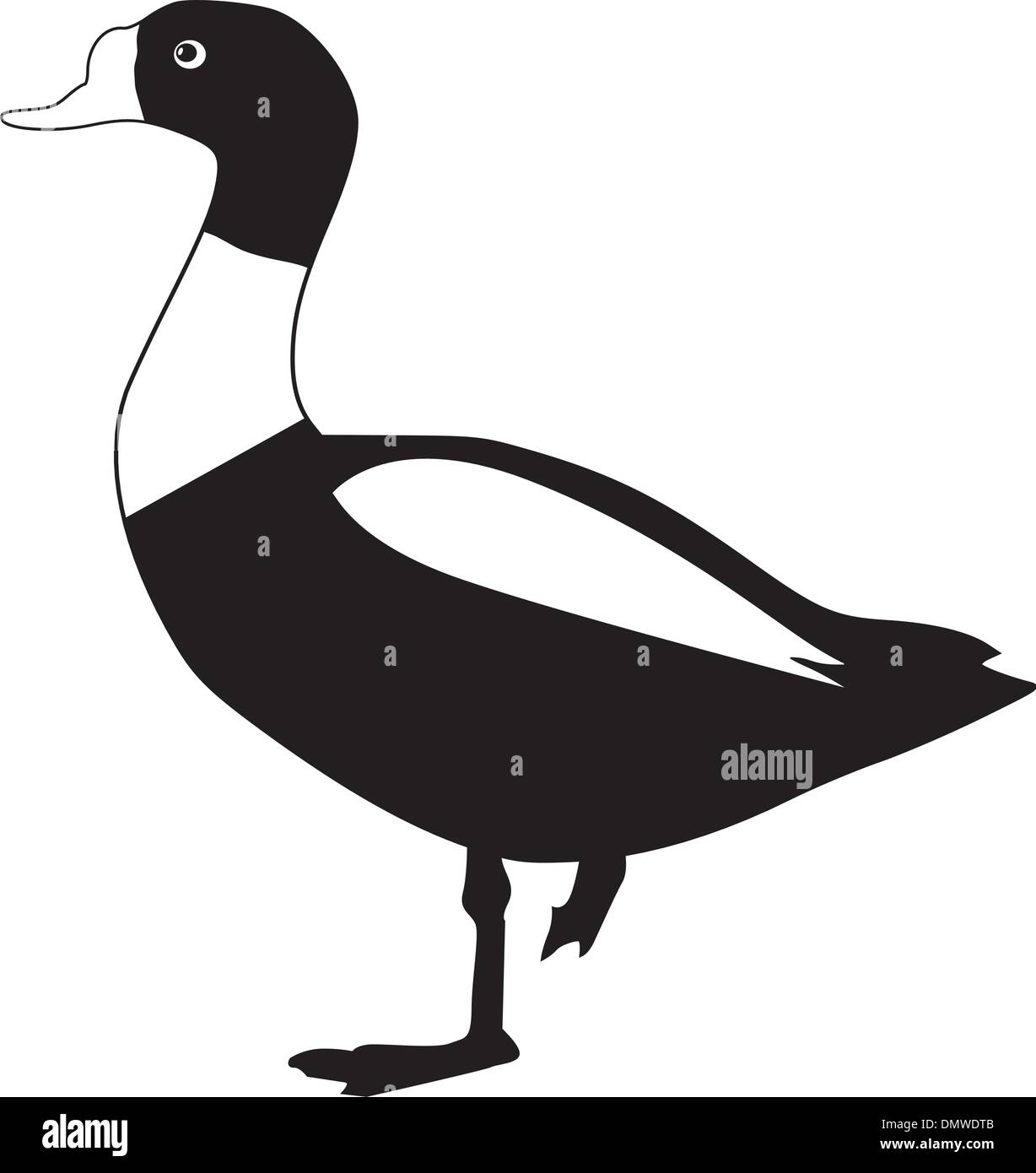 Duck image Stock Vector Images - Alamy